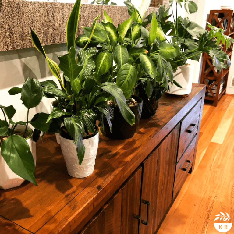 My top 10 tips to DETOX your home | Krissy Ballinger - Naturally Inspired