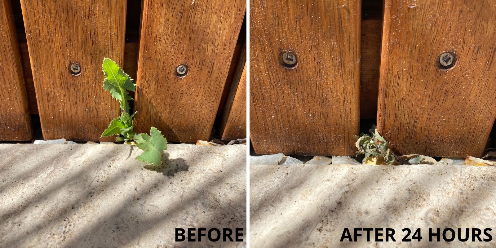 Natural Weed Spray | Krissy Ballinger - Naturally Inspired