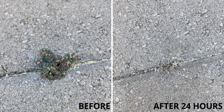 Natural Weed Spray | Krissy Ballinger - Naturally Inspired